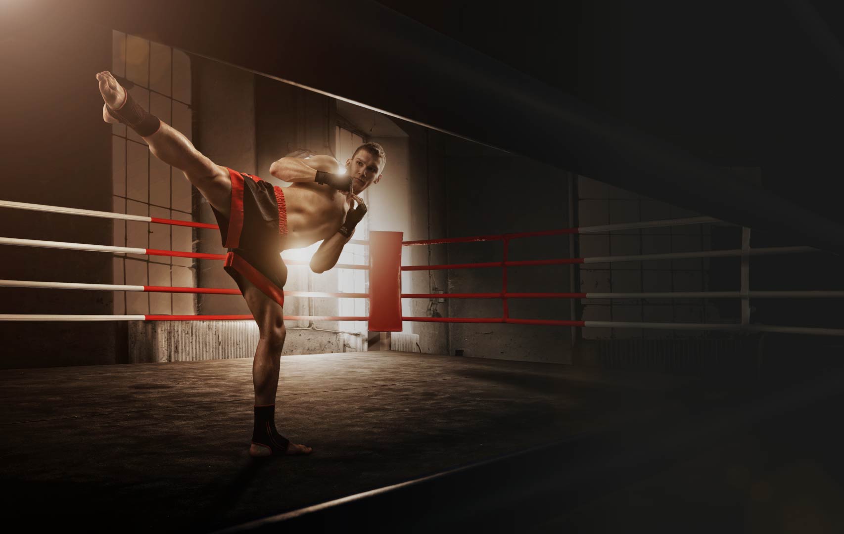 Kickboxing - DefenseMonkees